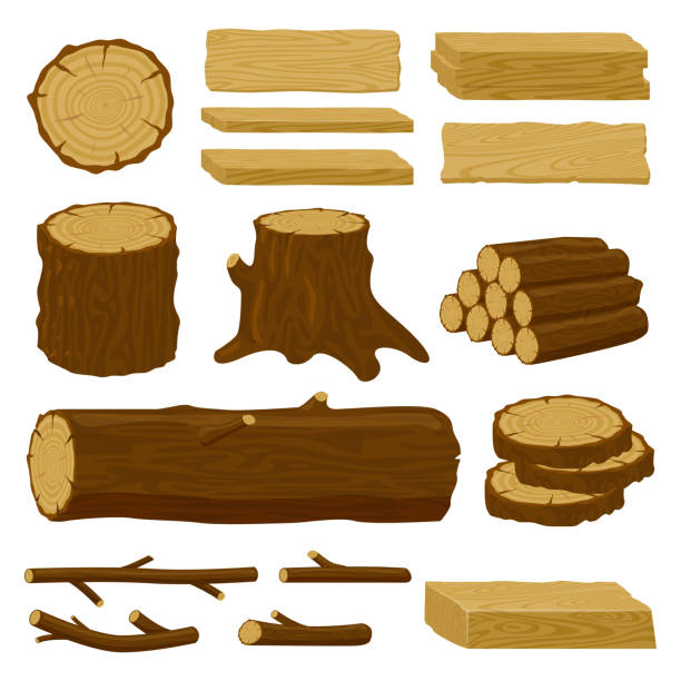 8 100 Tronc Darbre Illustrations Stock Illustrations Graphiques
