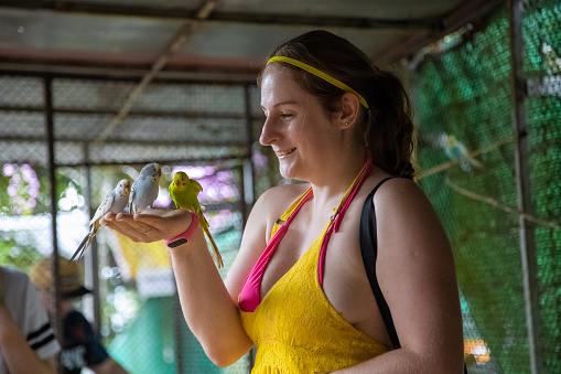 Gadis Ceria Memberi Makan Burung Beo Dari Tangannya Dan Tertawa Kebun