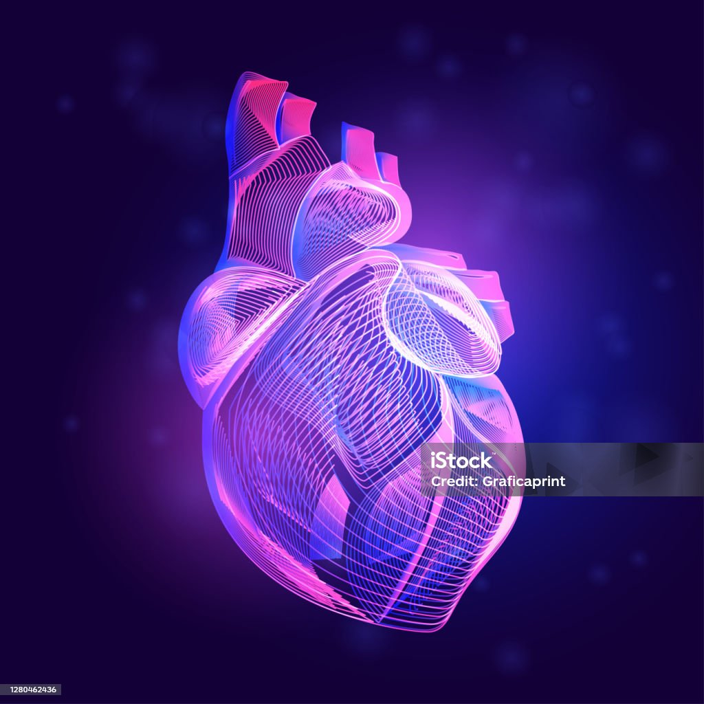 Human Heart Medical Structure Outline Vector Illustration Of Body Part