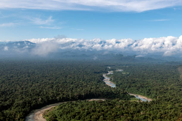 Papua Pictures | Download Free Images on Unsplash