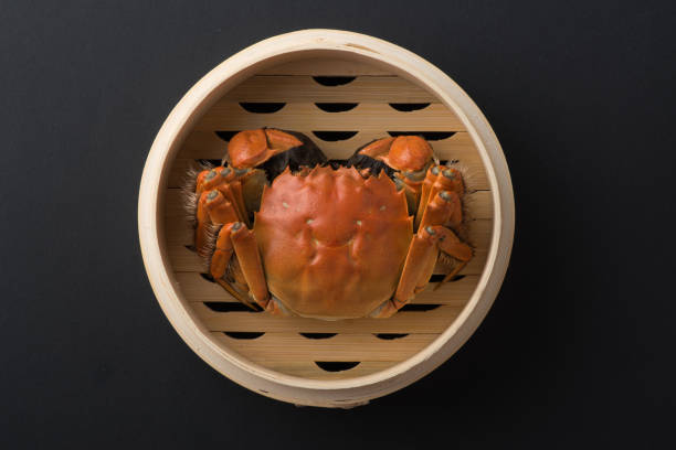 960+ Chinese Mitten Crab Photos Stock Photos, Pictures & Royalty-Free ... 960+ Chinese Mitten Crab Photos Stock Photos, Pictures & Royalty-Free ...