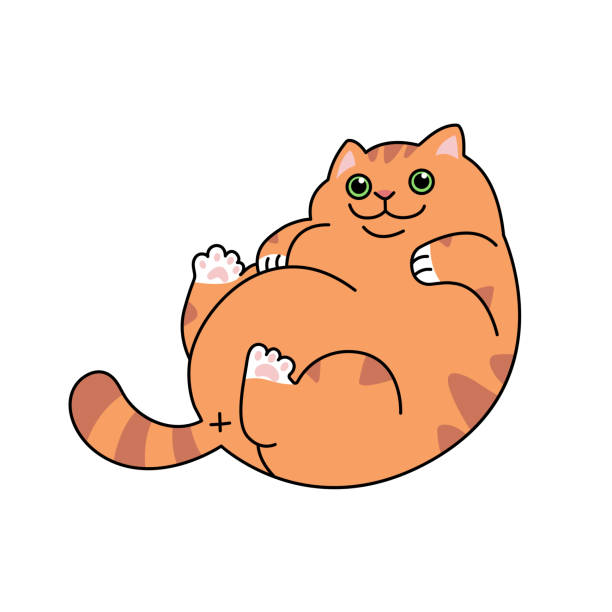 420 Orange Tabby Cats Clip Art Illustrations Royalty Free Vector Graphics And Clip Art Istock