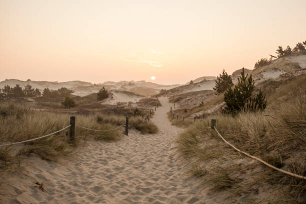 Free Stock Photo of Path through grassy dunes leading to the beach ...