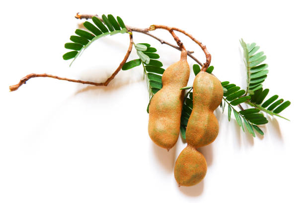 Tamarind Pictures | Download Free Images on Unsplash