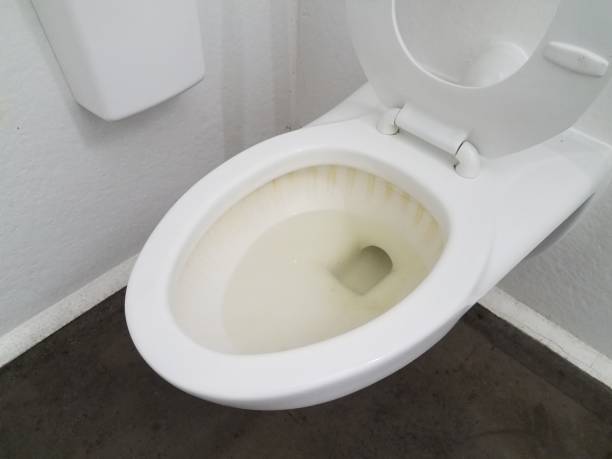 Dirty Toilet Pictures | Download Free Images on Unsplash