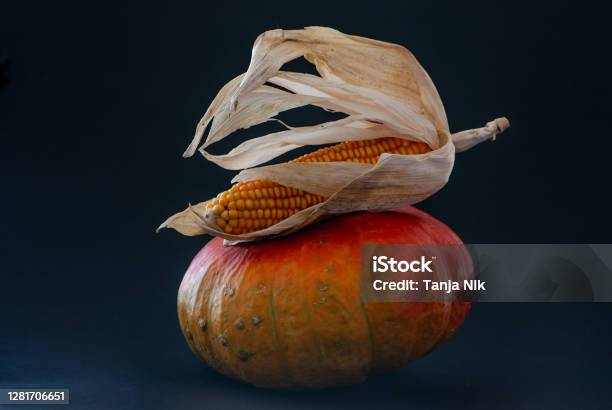 Labu Merah Yang Indah Dengan Jagung Matang Kuning Dekoratif Dengan ... Labu Merah Yang Indah Dengan Jagung Matang Kuning Dekoratif Dengan ...