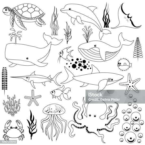 Ensemble Mignon De Poissons Marins Et Dalgues Contour Isolé Sur Le Fond
