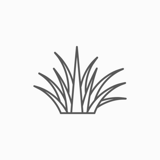 270 Prairie Grass Pattern Stock Illustrations Royalty Free Vector