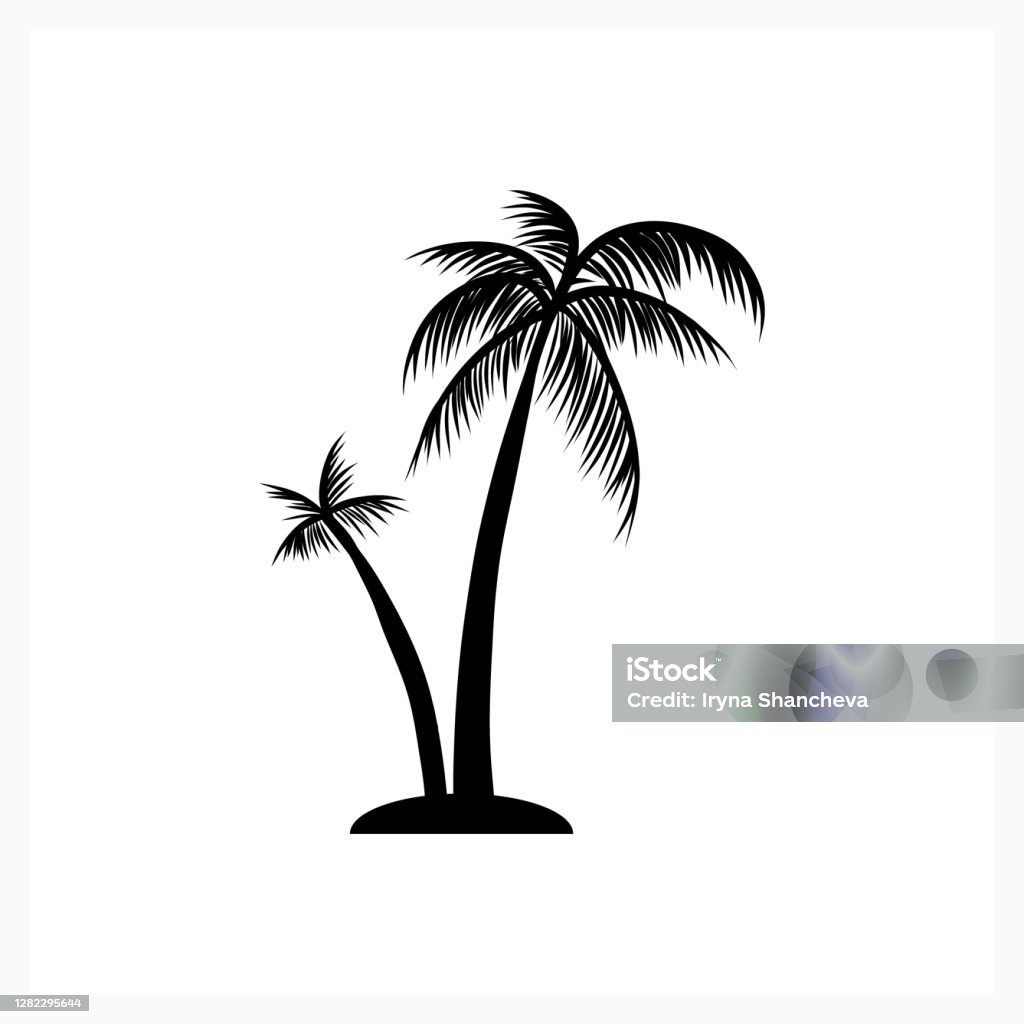 Doodle Ikona Palmy Izolowane Na Białym Symbol Wakacji Grafika Rysunku ... Doodle Ikona Palmy Izolowane Na Białym Symbol Wakacji Grafika Rysunku ...