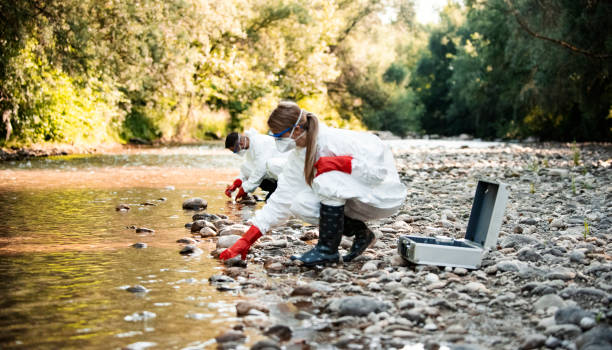 Free picture: collecting, water, sample, river
