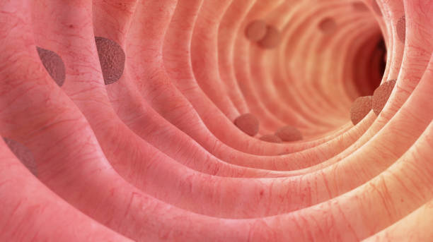 Colon Pictures | Download Free Images on Unsplash