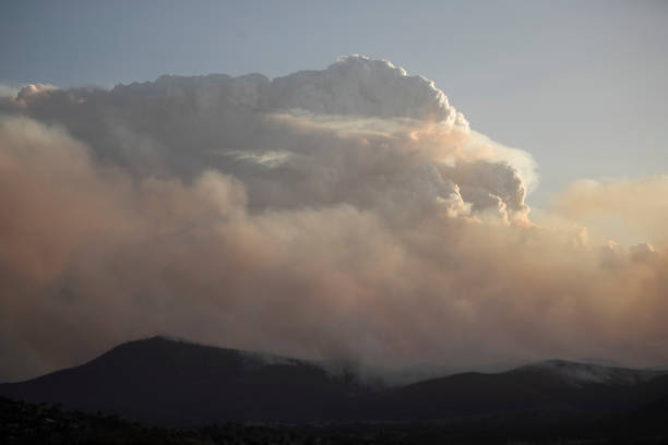 Free Stock Photo of Massive column of smoke rising from a forest ...
