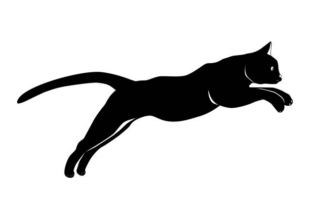 Cat Pouncing Lineart