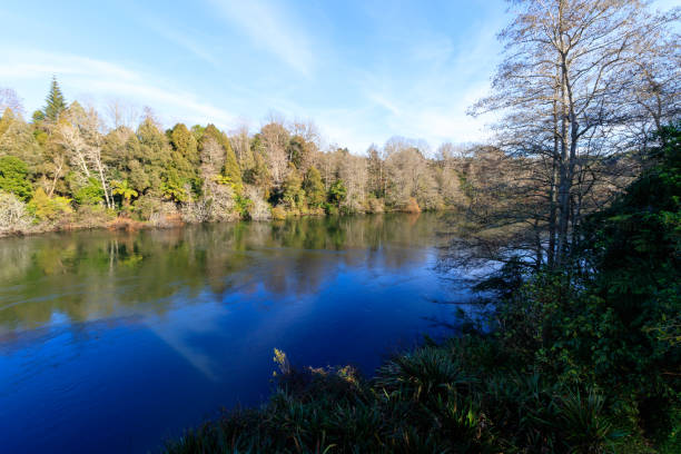 Blue River Pictures | Download Free Images on Unsplash