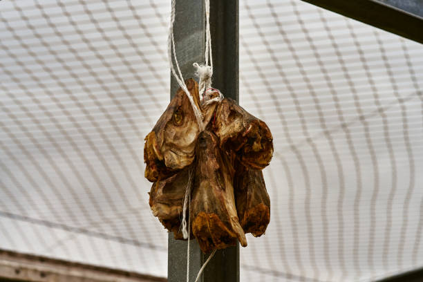 Dried cod heads | Free Stock Image - Barnimages