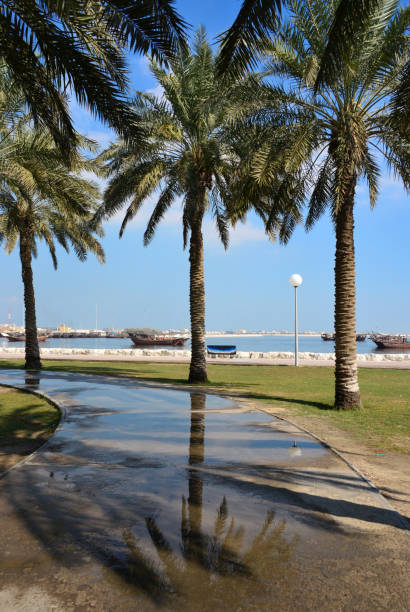 al-qatif Premium Photos, Pictures and Images by Istock