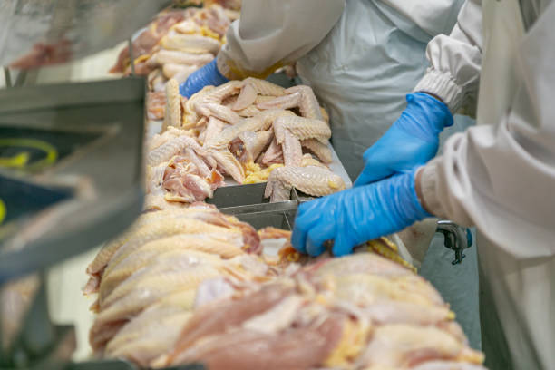 Free livestock handling stock photos. Download the best free livestock ...