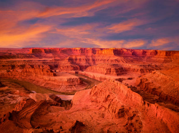 Red Nature Pictures | Download Free Images on Unsplash