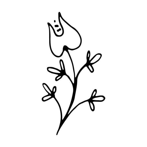 190 Hand Drawn Social Media Icons Pictures Stock Illustrations