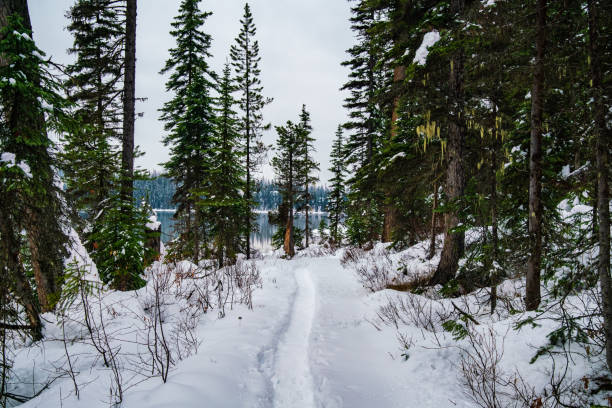 Yoho National Park Pictures | Download Free Images on Unsplash