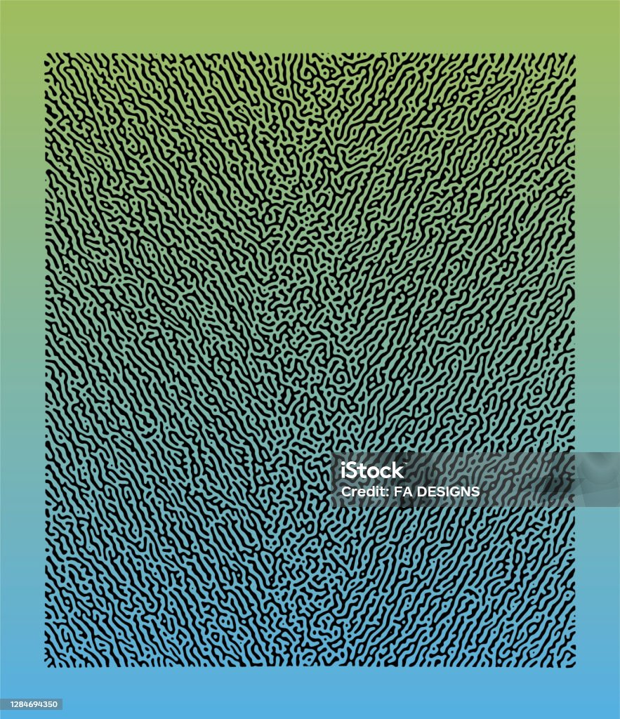 Seamless Reaction Diffusion Or Turing Pattern Vector Design Caused By
