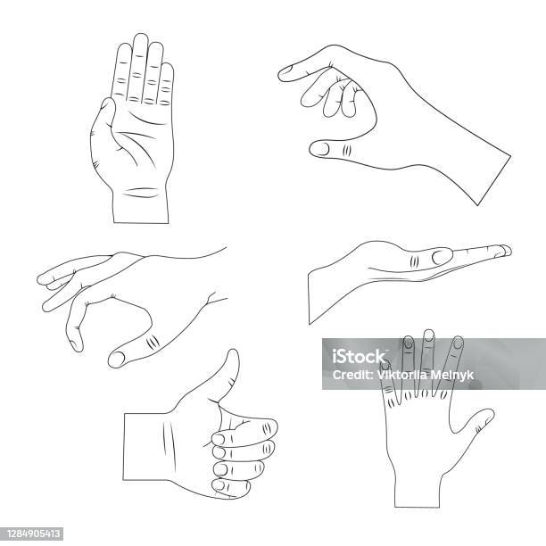 Set Tangan Kartun Manusia Menunjukkan Berbagai Gerakan Gerakan Tangan