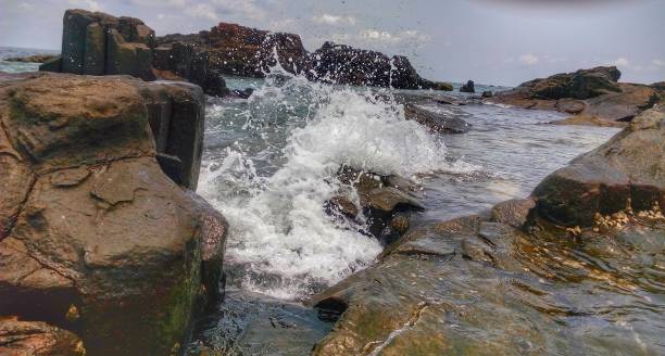 Udupi Pictures | Download Free Images on Unsplash