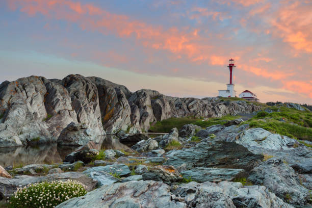 Cape Forchu Lighthouse Pictures | Download Free Images on Unsplash