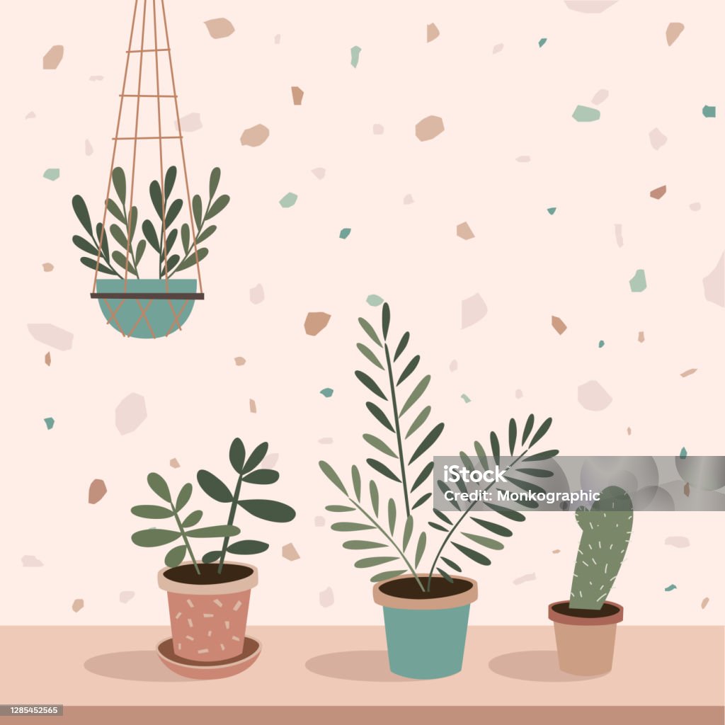 Home Green Potted Plants On The Shelf Stock Illustration Download