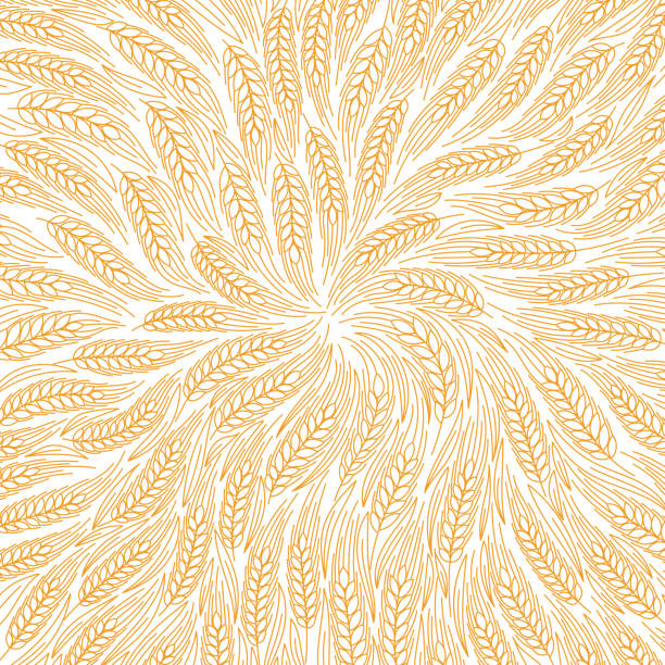 Free Stock Photo of Wheat background | Download Free Images and Free ...