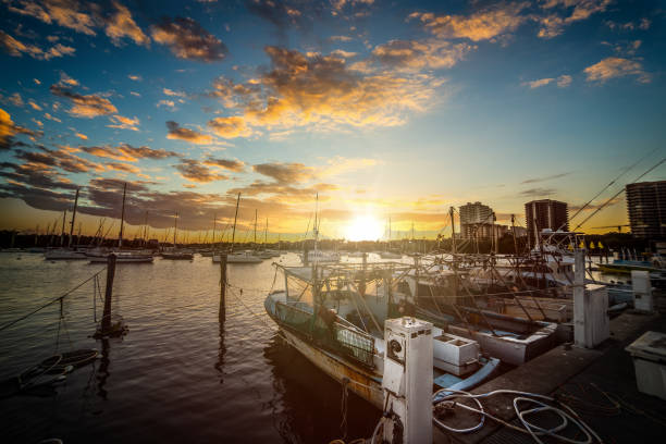 Coconut Grove Pictures | Download Free Images on Unsplash