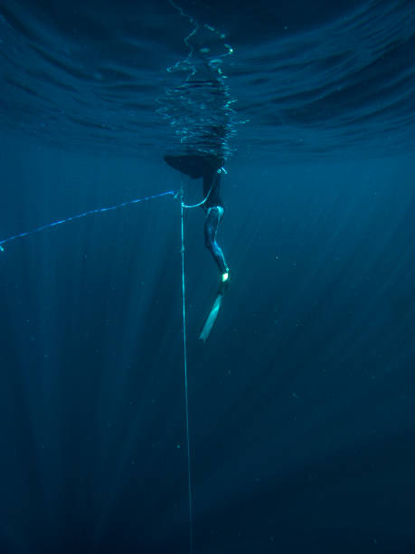Freedive Pictures | Download Free Images on Unsplash