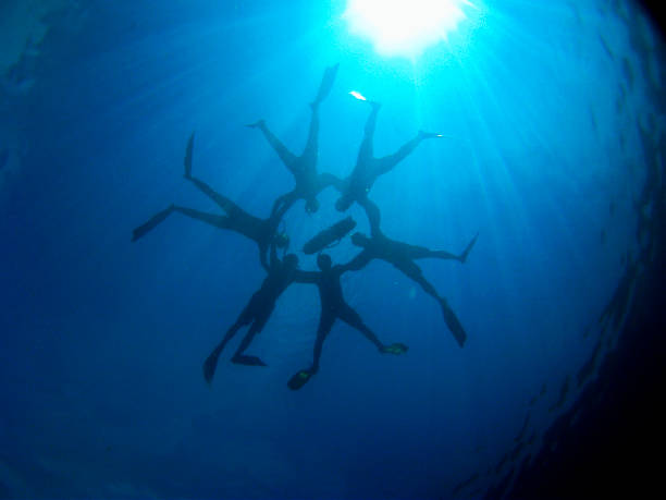 Freedive Pictures | Download Free Images on Unsplash