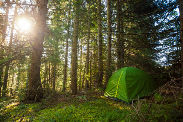 Bivouac Pictures | Download Free Images on Unsplash