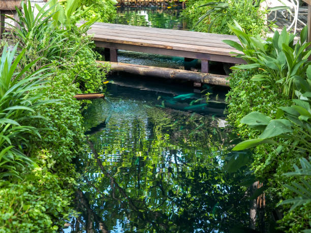 Free picture: Handmade wooden bridge crossing over forest river