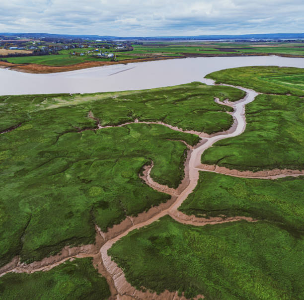 Estuary Pictures | Download Free Images on Unsplash