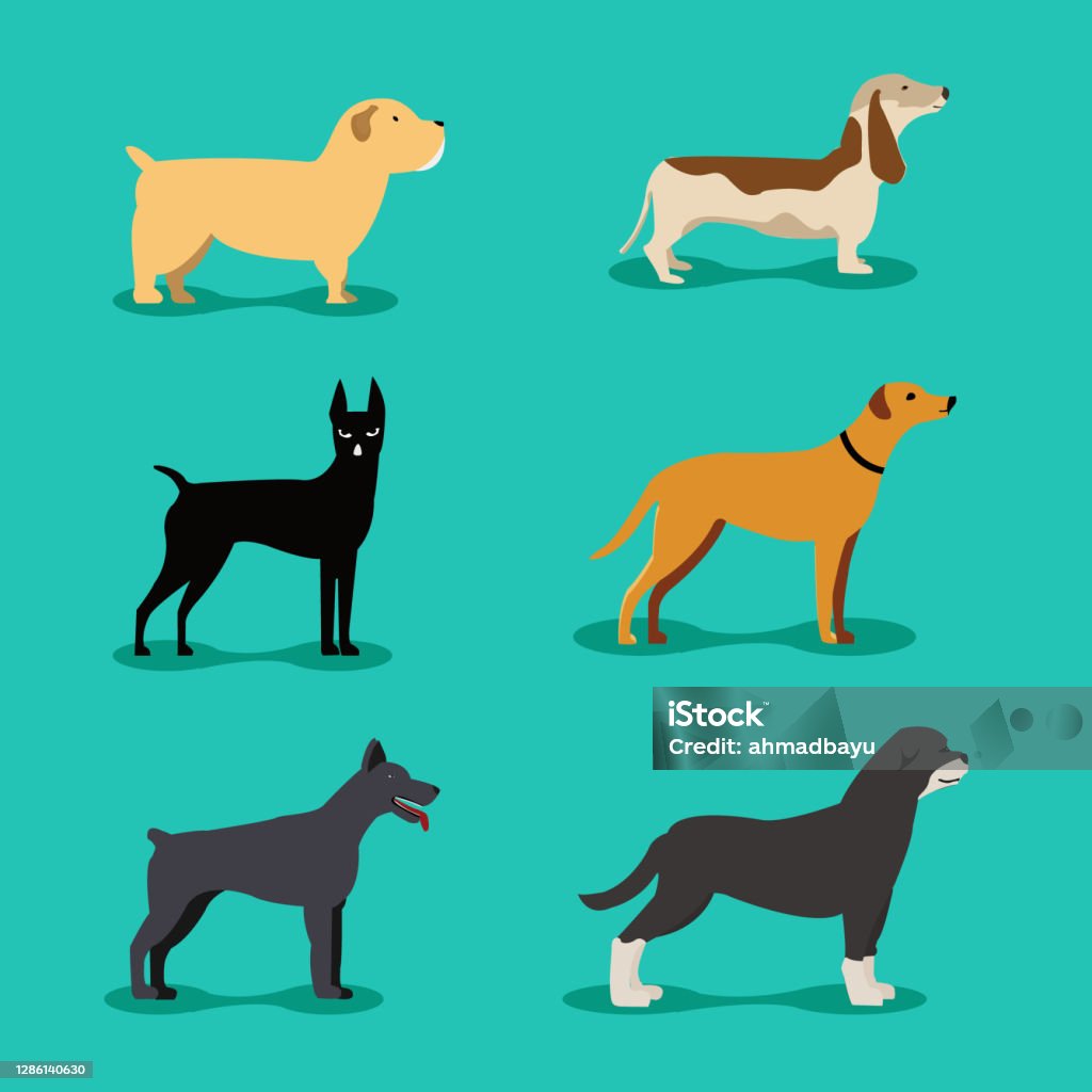 Koleksi Tampilan Samping Desain Datar Anjing Ilustrasi Stok - Unduh ... Koleksi Tampilan Samping Desain Datar Anjing Ilustrasi Stok - Unduh ...