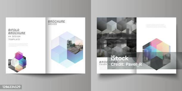 Tata Letak Vektor Dari Dua Format Mockup Sampul Template Desain Dengan