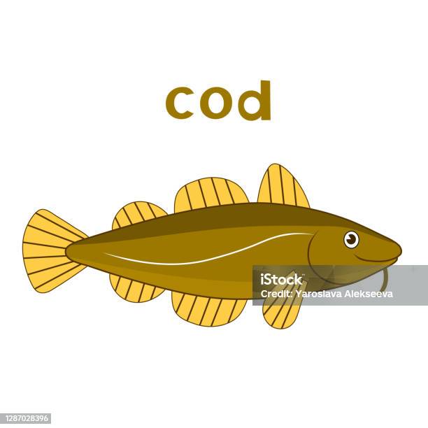 Cod Atlantik Gambar Gambar Gambar Kuning Warna Kartun Vektor Ilustrasi ... Cod Atlantik Gambar Gambar Gambar Kuning Warna Kartun Vektor Ilustrasi ...