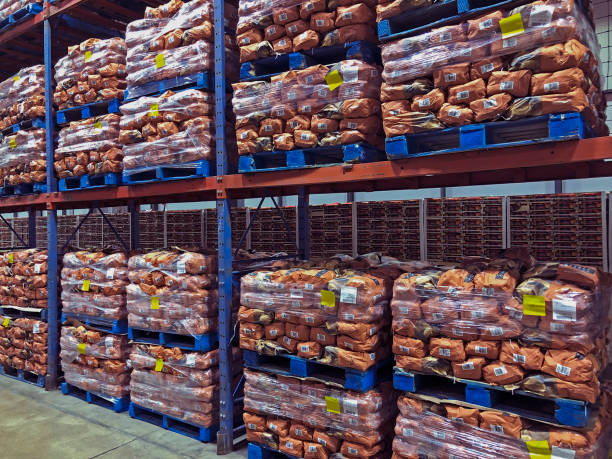 Food Distribution Pictures | Download Free Images on Unsplash