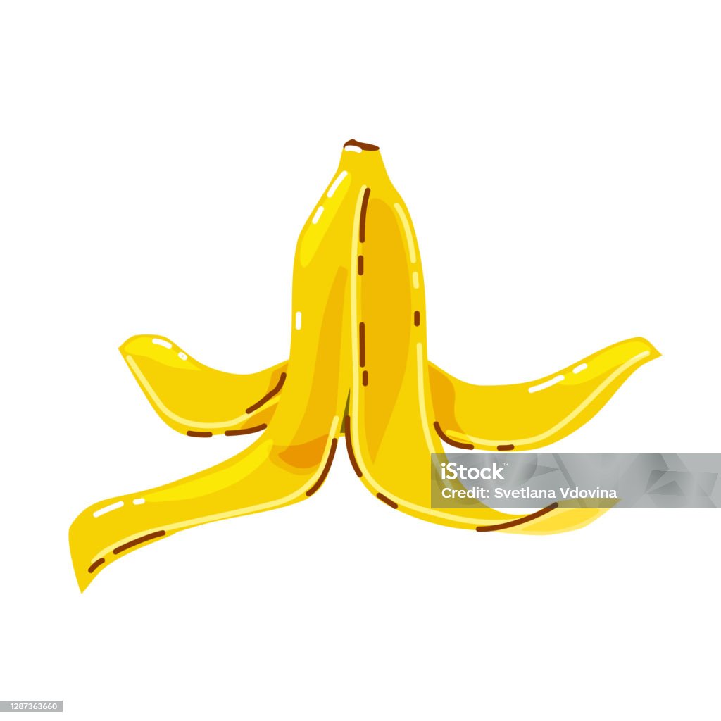 Kulit Pisang Di Latar Belakang Putih Ilustrasi Vektor Ilustrasi Stok Unduh Gambar Sekarang