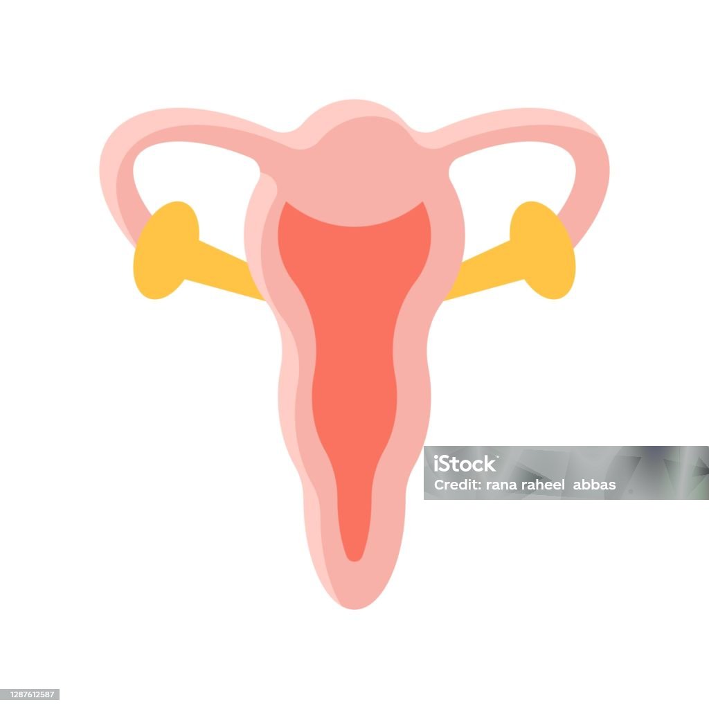Sickness And Disease Related Ureteral Or Bladder Vectors In Flat Style