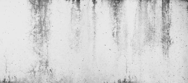Best Smudge Pictures [HD] | Download Free Images on Unsplash