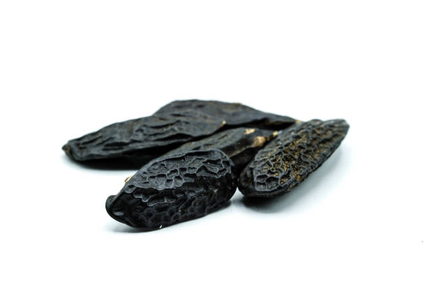 Tonka Bean Pictures | Download Free Images on Unsplash