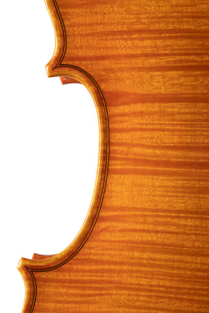 Free Stock Photo of Violin F Holes and Bridge | Download Free Images ...