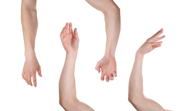 Forearm Pictures | Download Free Images on Unsplash