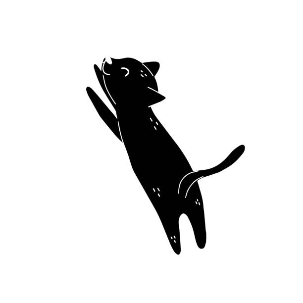 130 Cat Arching Back Stock Illustrations Royalty Free Vector Graphics
