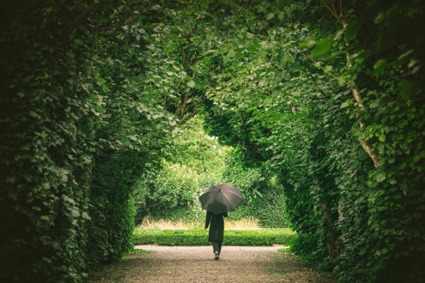 Free Stock Photo of Person at End of Green Lush Hedge Path | Download ...