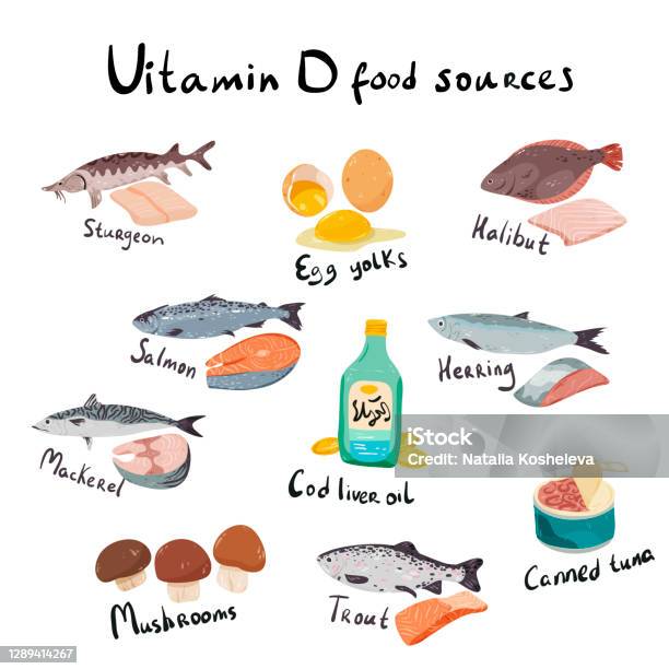 Vitamin D Food Sources Information Banner Vector Illustration Stock Illustration Download