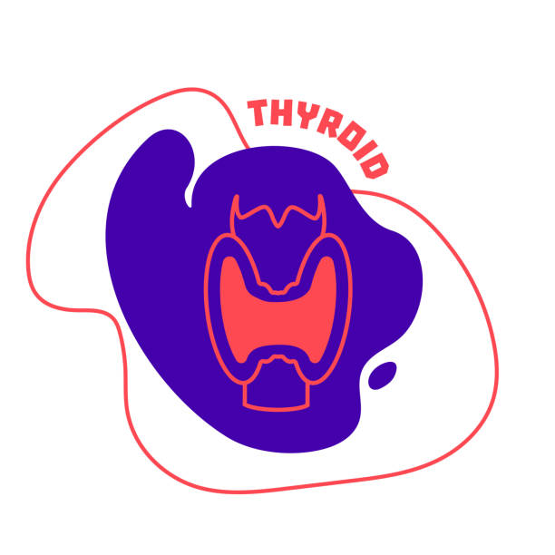 140 Thyroid Exam Ilustrasi Grafik Vektor And Clip Art Bebas Royalti